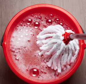 Heavy-Duty Floor Cleaner Recipe for Sparkling Clean Floors – HOME & Garden